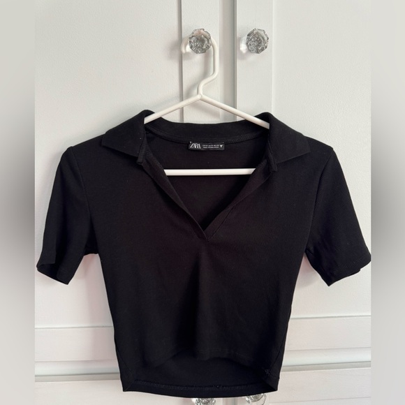 Zara | Tops | Zara Collared Crop Top | Poshmark